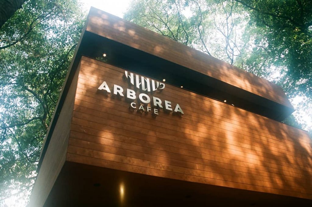 Arborea : Café Unik di Tengah Hutan Kota Jakarta - deCODE